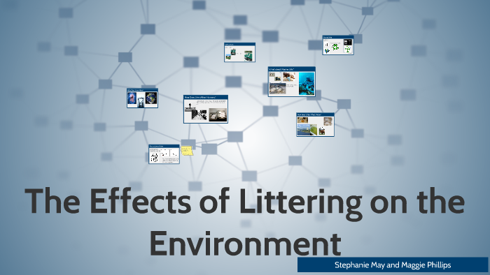 The Effects of Littering on the Environment by Maggie Phillips on Prezi