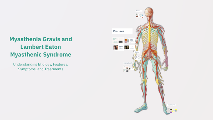 Myasthenia Gravis and Lambert Eaton Myasthenic Syndrome by AYSHA NIMA on Prezi