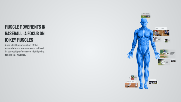 Muscle Movements in Baseball: A Focus on 10 Key Muscles by Trent Sawyer ...