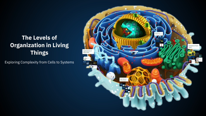 The Levels of Organization in Living Things by Teo Funez on Prezi