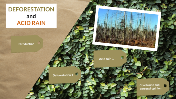 Deforestation, acid rain by ainhoa hernandez on Prezi