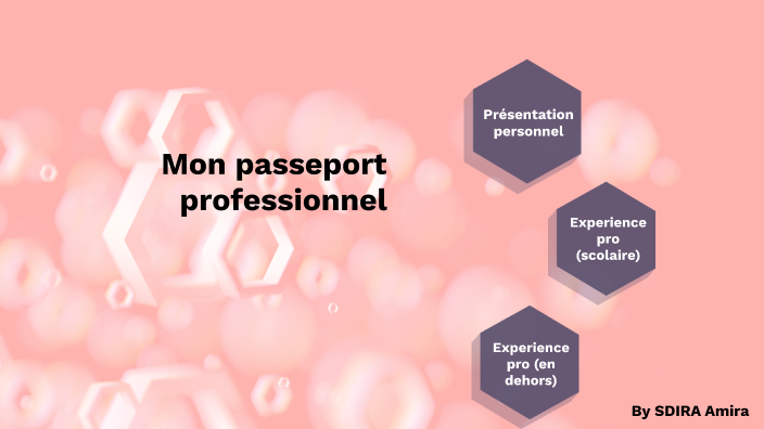 Mon passeport professionnel by amira sdira on Prezi