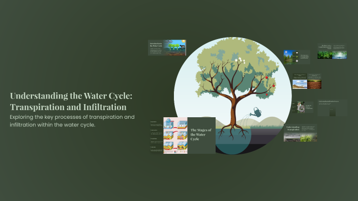Understanding the Water Cycle: Transpiration and Infiltration by ...