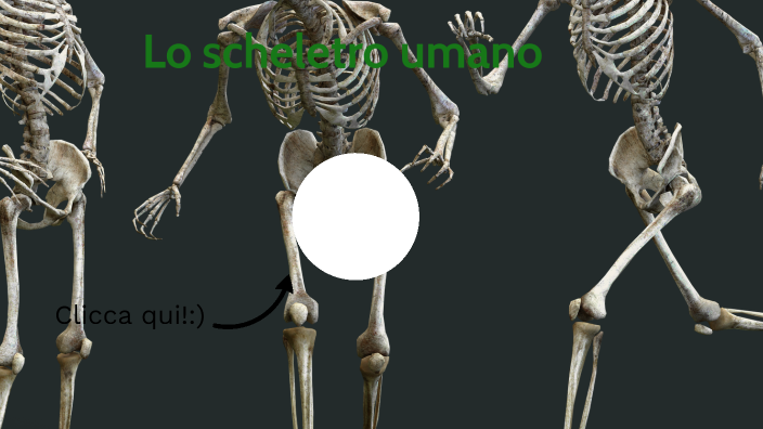 lo scheletro by Gabı on Prezi