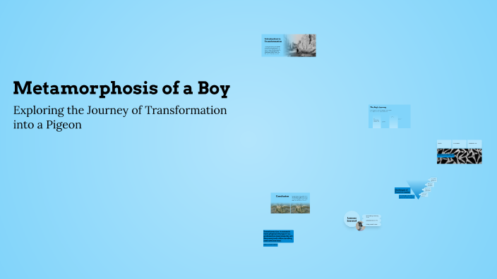 Metamorphosis of a Boy by Marshall Smith on Prezi