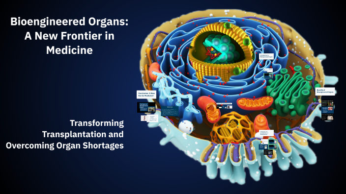 The Promise of Bioengineered Organs by Corinna Hawver on Prezi