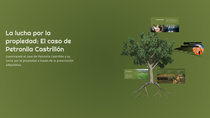 La lucha por la propiedad: El caso de Petronila Castrillón by EIMI YURIETH ARIAS TROCHEZ on Prezi