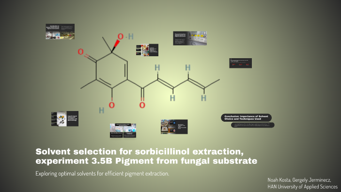 Solvent Selection for Pigment Extraction: Techniques and Analysis by ...