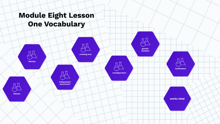 Module Eight Lesson One Pathway Three Activity by Ashlyn Midgett on Prezi