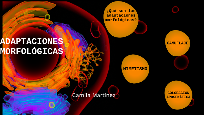 ADAPTACIONES MORFOLÓGICAS by Camila Martínez on Prezi