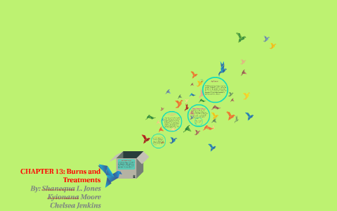 CHAPTER 13: Burns and Treatments by Shanequa Jones on Prezi