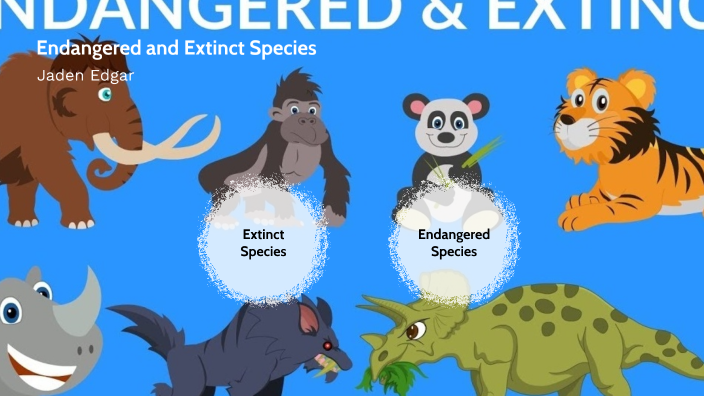 Endangered and Extinct Animal by Jaden Edgar on Prezi