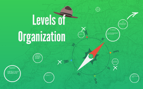 Levels of Organization by Nathan Duquette on Prezi