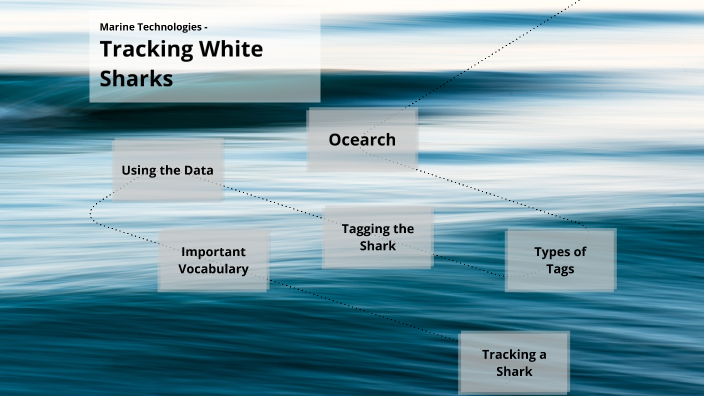 Ocean Technologies - Tagging White Sharks by ND Learner on Prezi