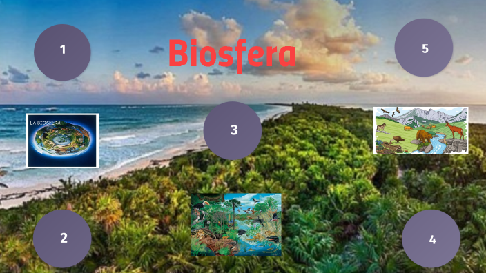 Biosfera by Ashly Archila on Prezi