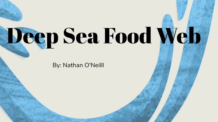 Deep Sea Food Web by Nathan O'Neill on Prezi