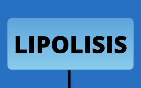 lipolisis by Emmanuel Grimaldo on Prezi