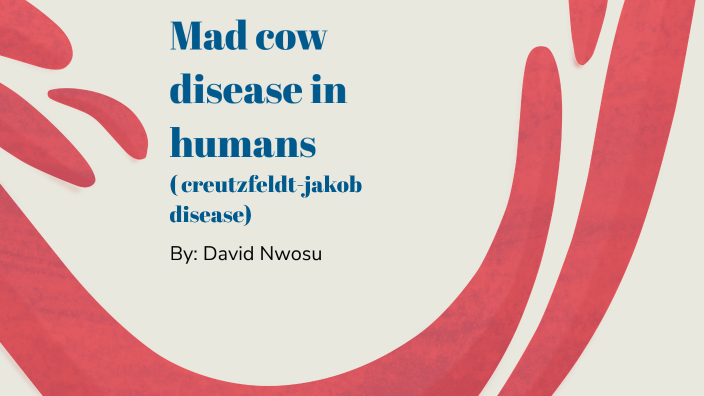 Mad cow disease by David Nwosu on Prezi