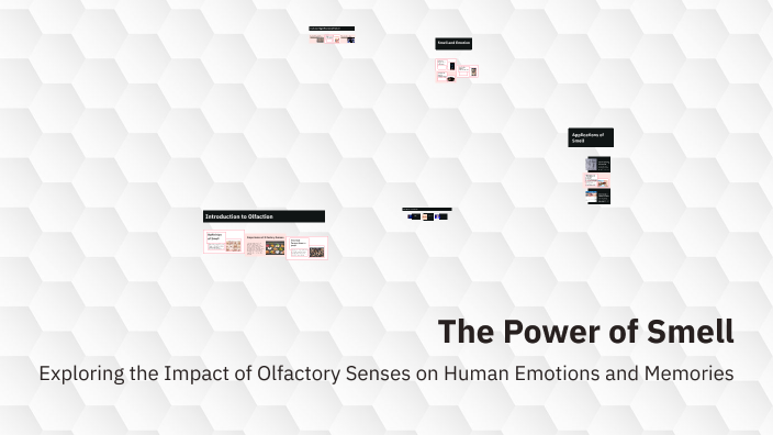 The Power of Smell by Umida Islamova on Prezi