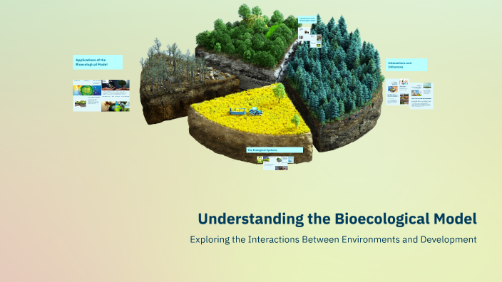 Understanding the Bioecological Model by Hanna Ney on Prezi