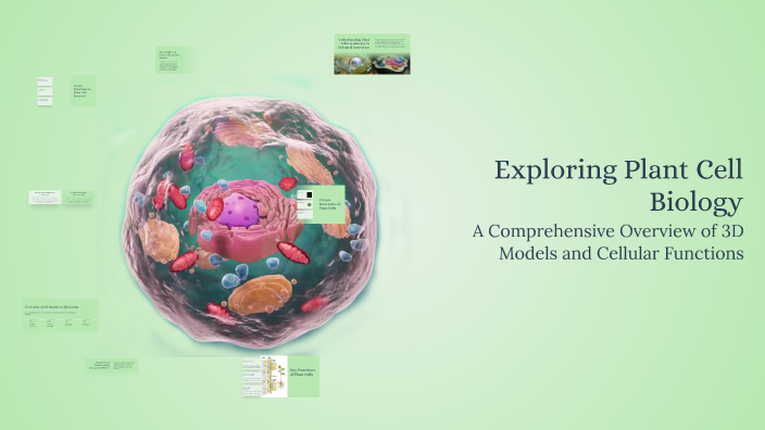 Exploring Plant Cell Biology by Abdulrahman Eisay on Prezi
