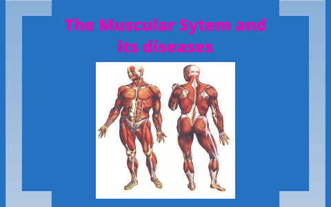 The Muscular System and its diseases by RaMont'e Rome on Prezi