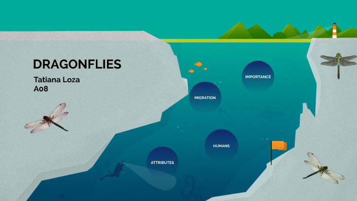 Dragonfly migration by Tatiana Loza on Prezi