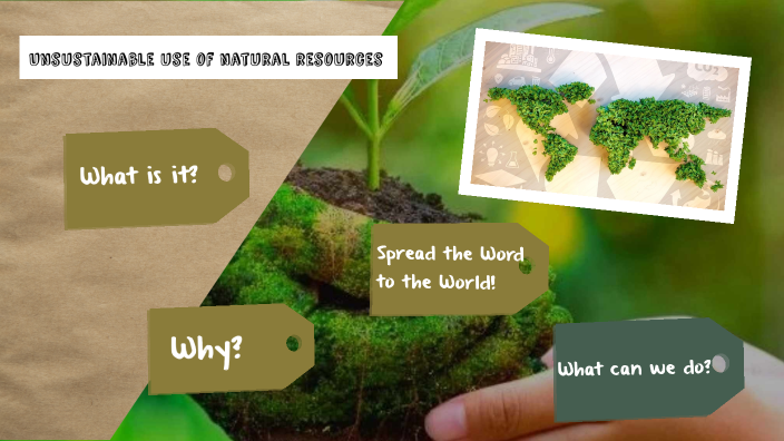 The unsustainable use of natural resources by Mariana Alves on Prezi