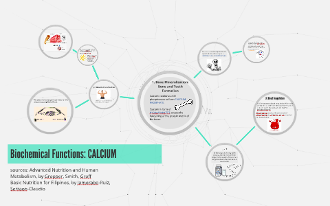 Three Functions Of Calcium