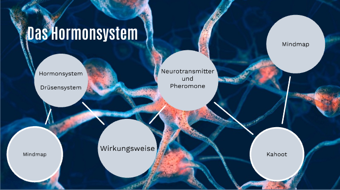 Das Hormonsystem by Chiara Giaccone on Prezi