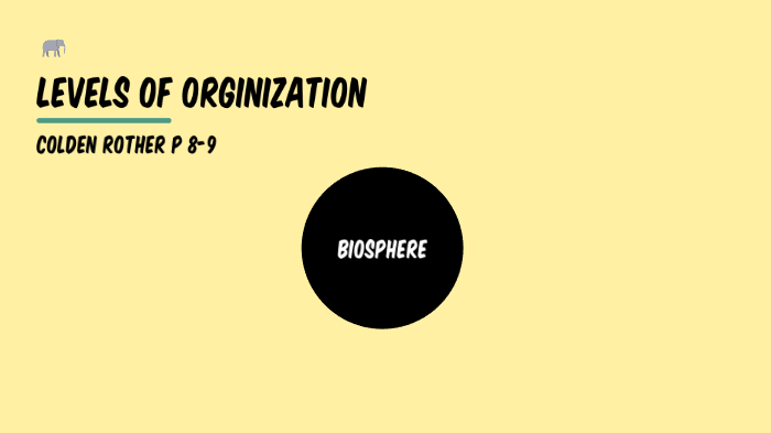 Levels of Orginization Science Colden Rother by COLDEN ROTHER on Prezi