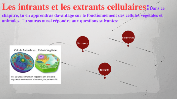Les intrants by on Prezi
