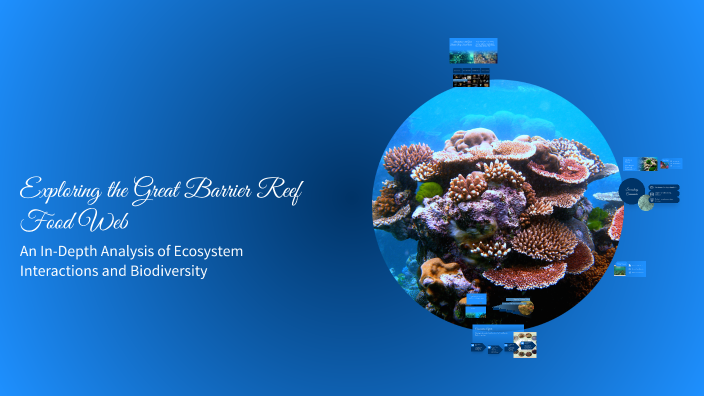 Exploring the Great Barrier Reef Food Web by Eleanor Zahn on Prezi