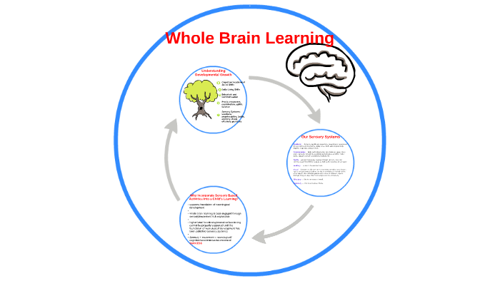Understanding the Developmental Ladder by aynsley carter