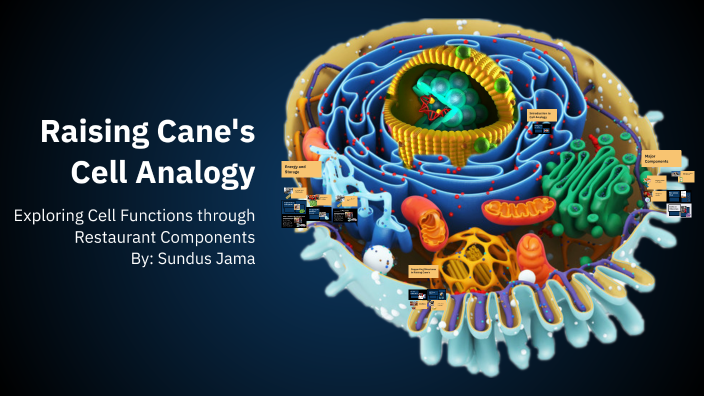 Raising Canes Cell Analogy by Sundus Jama on Prezi