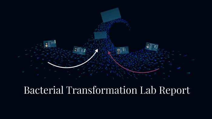Bacterial Transformation Lab Report by Jenna Kaczmarski on Prezi