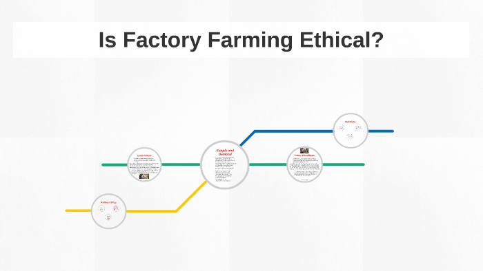 Is Factory Farming Ethical? by Stephanie Zunini on Prezi
