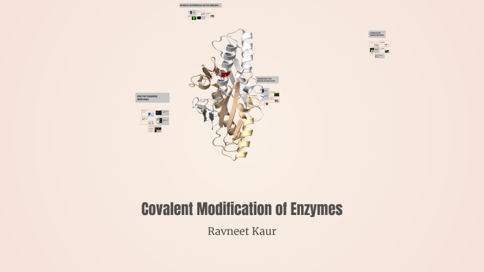Covalent Modification of Enzymes by Experiment Lol on Prezi