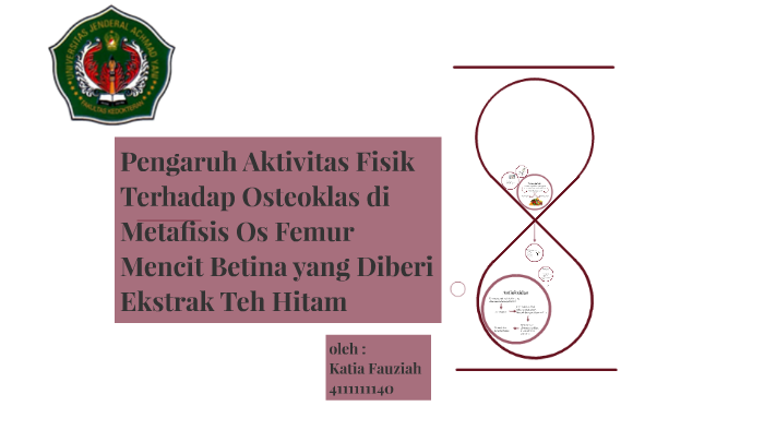 Pengaruh Aktivitas Fisik Terhadap Osteoklas di Metafisis Os by katia ...