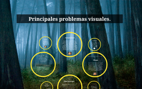 Principales problemas visuales by on Prezi