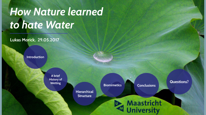 The Lotus Effect by Lukas Morick on Prezi