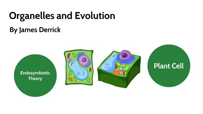 Organelles and their Evolution by James Derrick on Prezi