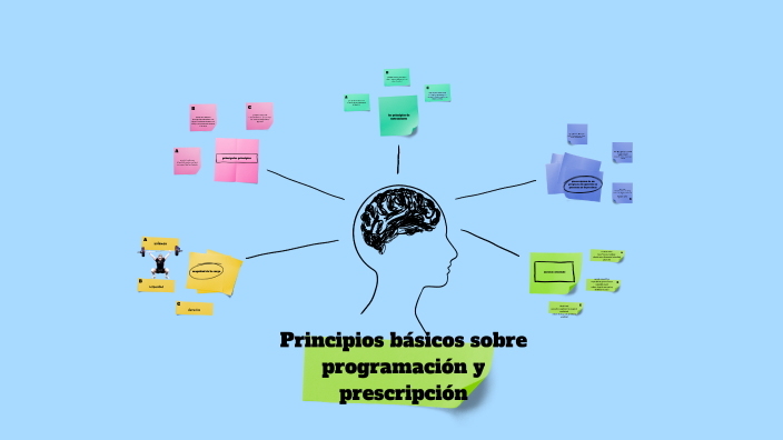 Principios básicos sobre programación y prescripción by ernesto baños on Prezi