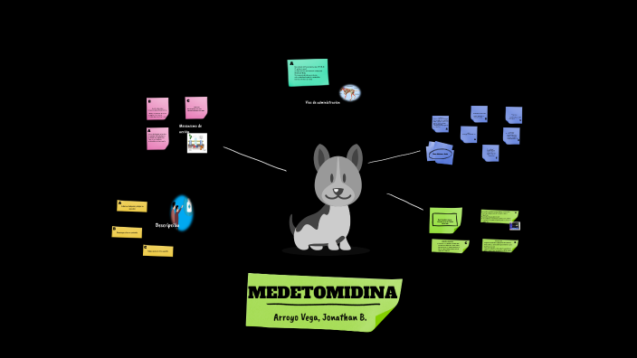 medetomidina by Jonathan Arroyo on Prezi