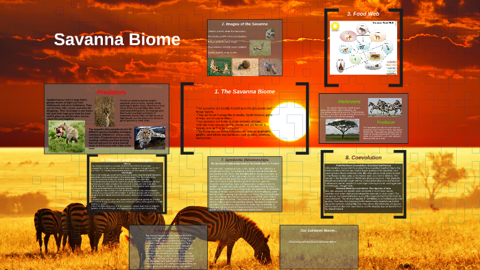 Savanna Biome by Christiana Gutierrez on Prezi