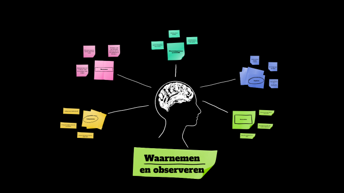 Waarnemen en observeren by Evy Kroon on Prezi