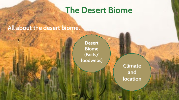 Desert Biome by Akayla Valdez on Prezi