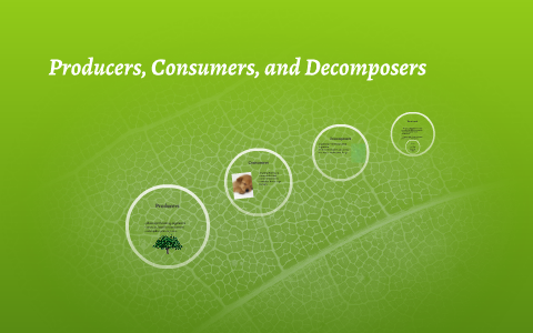 Producers, Consumers, and Decomposers by Rachel Aker on Prezi