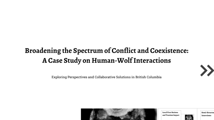 Broadening the Spectrum of Conflict and Coexistence: A Case Study on ...