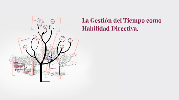 La Gestion del Tiempo como Habilidad Directiva. by iveth marlen flores ...